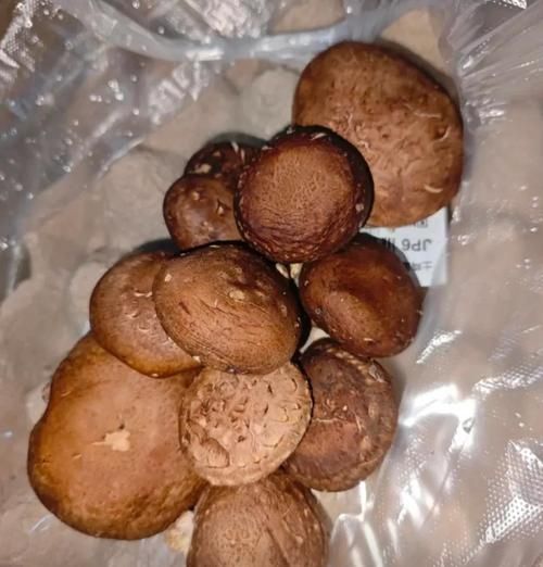新鲜香菇需要焯水吗_焯水后营养会流失吗-第1张图片-山城妙识