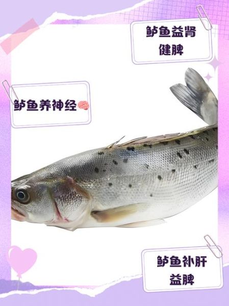 女人常吃鲈鱼的好处_鲈鱼对女性有哪些营养价值-第1张图片-山城妙识