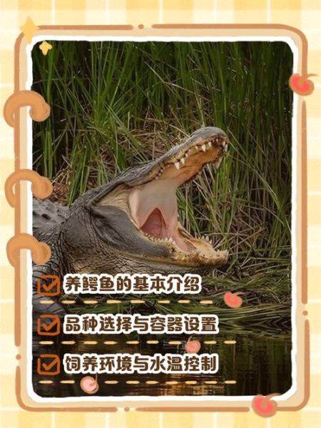 鳄鱼养殖基地赚钱吗_鳄鱼养殖基地需要什么手续-第1张图片-山城妙识