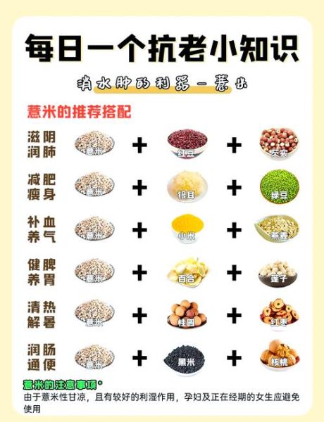 薏米什么人不能吃_薏米禁忌人群有哪些-第2张图片-山城妙识