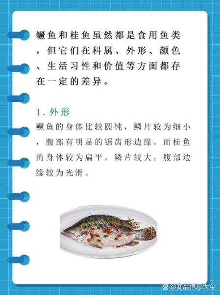 桂鱼和鲑鱼的区别_哪个更好吃-第1张图片-山城妙识