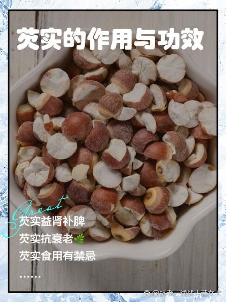 芡实的功效与作用及主治_芡实怎么吃最养脾胃-第1张图片-山城妙识