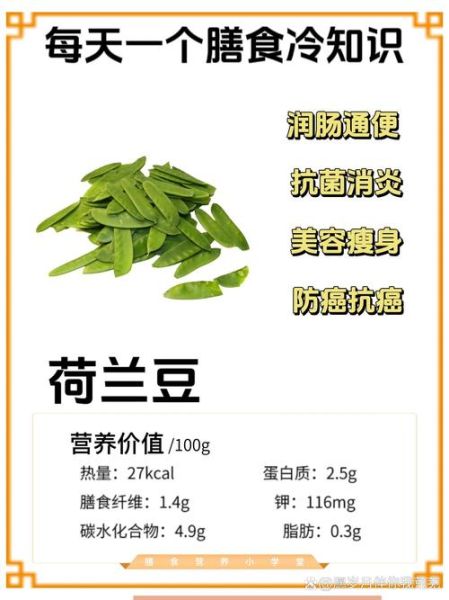 荷兰豆为什么叫荷兰豆_荷兰豆名字的由来-第1张图片-山城妙识