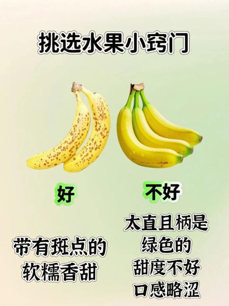 春季水果有哪些_春季水果怎么挑-第1张图片-山城妙识 春季水果有哪些_春季水果怎么挑-第1张图片-山城妙识
