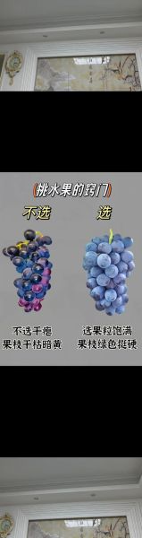 春季水果有哪些_春季水果怎么挑-第2张图片-山城妙识 春季水果有哪些_春季水果怎么挑-第2张图片-山城妙识