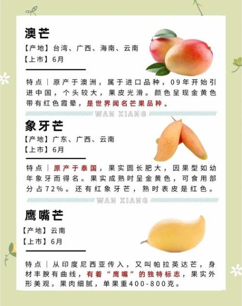 芒果的营养价值_芒果有哪些功效与作用-第3张图片-山城妙识
