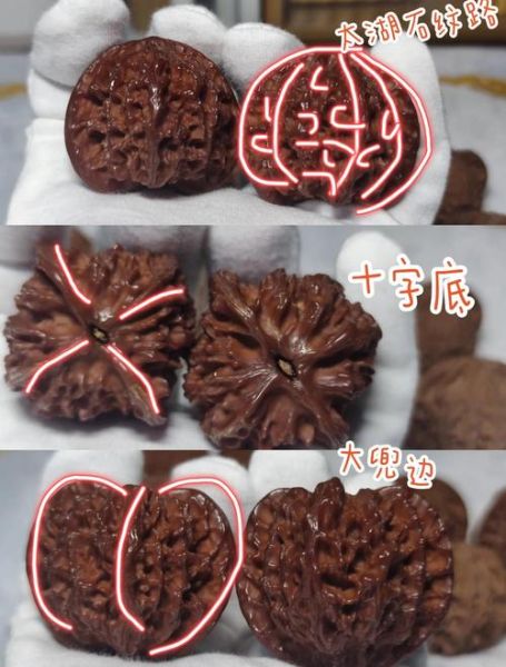 闷尖狮子头是什么_如何挑选正宗闷尖狮子头-第1张图片-山城妙识