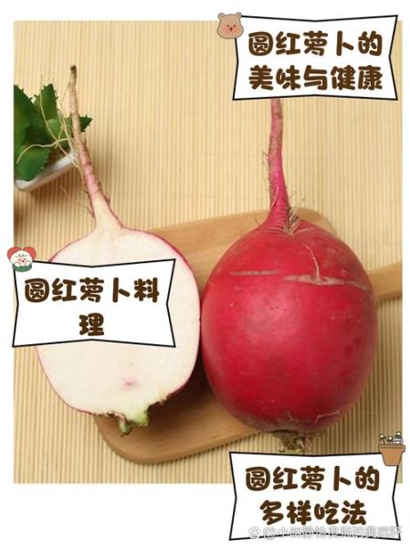 东北圆大红萝卜怎么做好吃_东北圆大红萝卜的家常做法-第1张图片-山城妙识