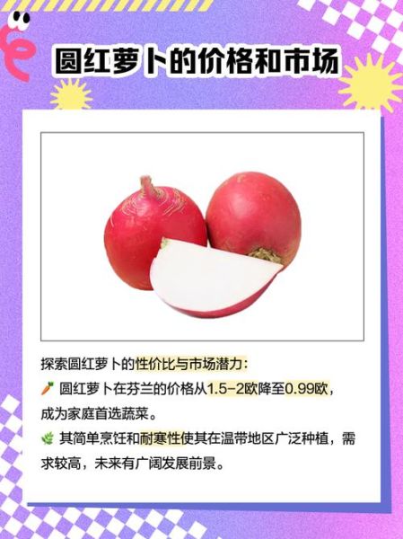 东北圆大红萝卜怎么做好吃_东北圆大红萝卜的家常做法-第3张图片-山城妙识