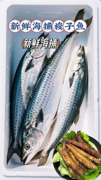 大梭鱼怎么做好吃_大梭鱼家常做法-第2张图片-山城妙识