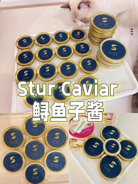 鲟鱼鱼子酱价格为什么这么贵_如何辨别真假-第3张图片-山城妙识