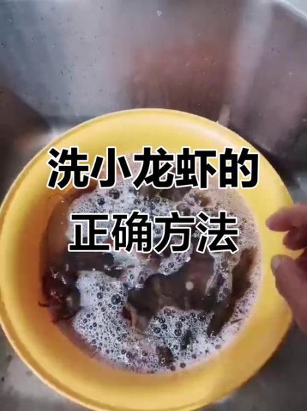 小龙虾怎么清洗才干净_小龙虾收拾步骤详解-第2张图片-山城妙识