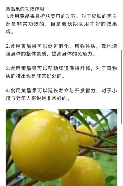 黄晶果怎么种植_黄晶果营养价值-第1张图片-山城妙识