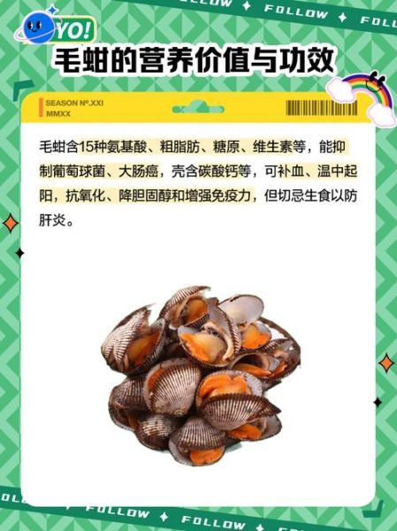 毛蚶怎么清洗_毛蚶图片长什么样-第2张图片-山城妙识
