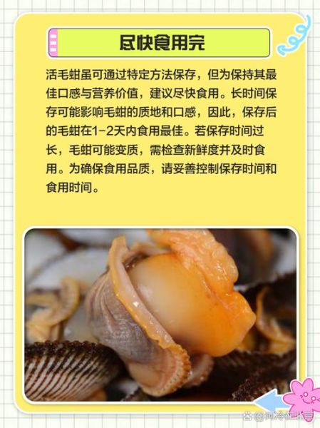 毛蚶怎么清洗_毛蚶图片长什么样-第3张图片-山城妙识