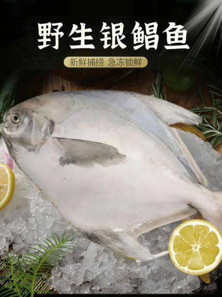 鲳鱼多少钱一斤_2021年最新市场价-第3张图片-山城妙识