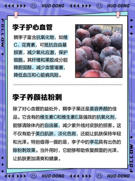 李子果的功效与作用_李子果怎么吃最健康-第2张图片-山城妙识