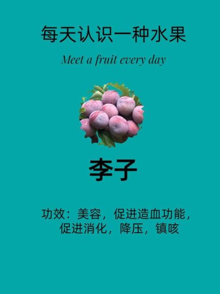 李子果的功效与作用_李子果怎么吃最健康-第3张图片-山城妙识