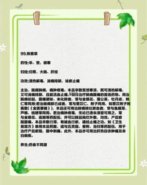 败酱草的功效与作用_败酱草能治哪些病-第2张图片-山城妙识