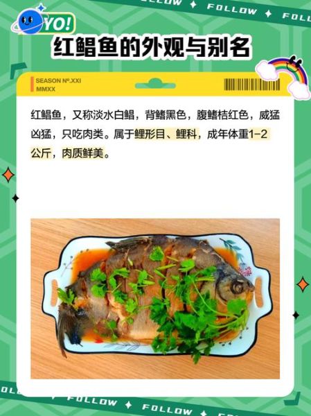 红鲳鱼为什么吃的人越来越少_红鲳鱼口感变差了吗-第2张图片-山城妙识