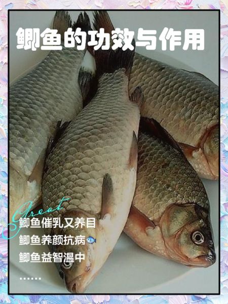 鲫鱼的营养价值_鲫鱼的功效与作用-第1张图片-山城妙识
