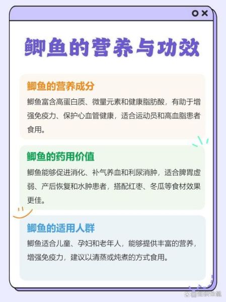 鲫鱼的营养价值_鲫鱼的功效与作用-第3张图片-山城妙识