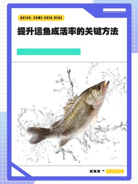 鱼养殖技术_如何提高成活率-第1张图片-山城妙识