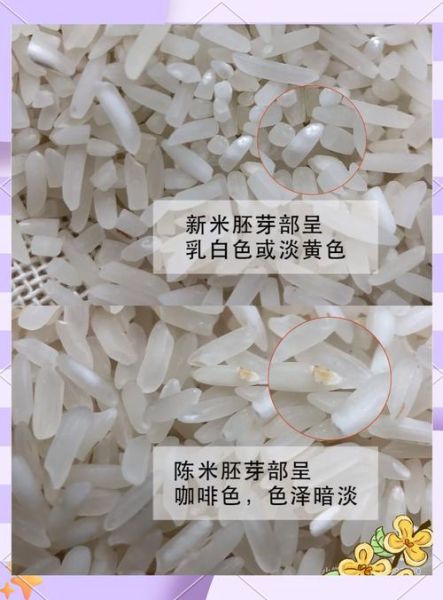 陈粟米是什么米_陈粟米和普通小米区别-第1张图片-山城妙识