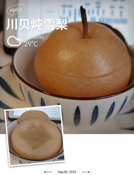 川贝炖雪梨川贝放多少_一次放几克才止咳-第2张图片-山城妙识