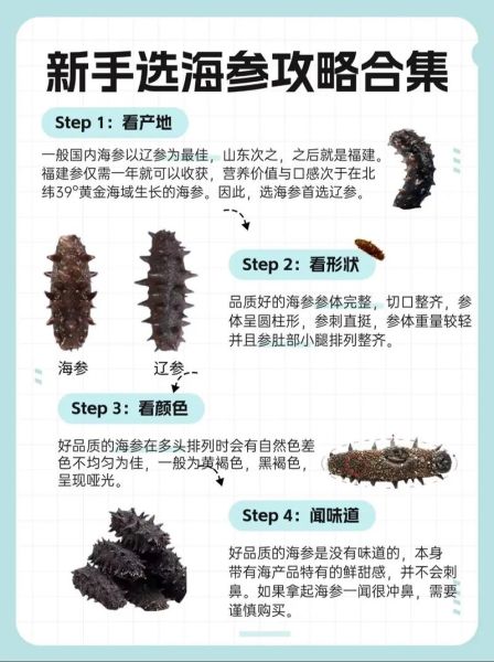 辽宁海参品牌排行榜_如何挑选正宗辽参-第1张图片-山城妙识