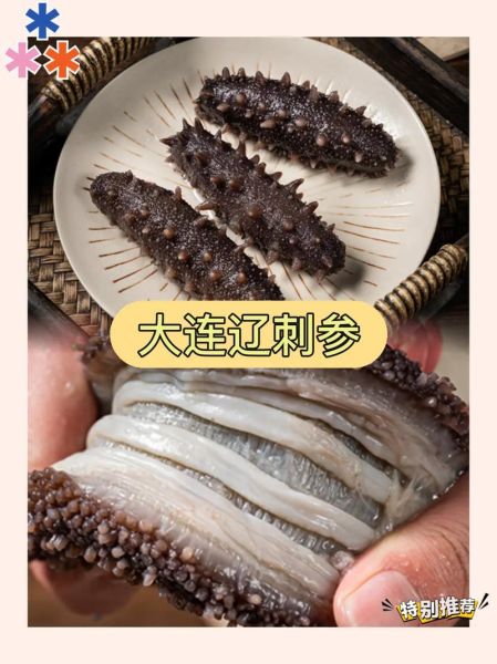 辽宁海参品牌排行榜_如何挑选正宗辽参-第3张图片-山城妙识