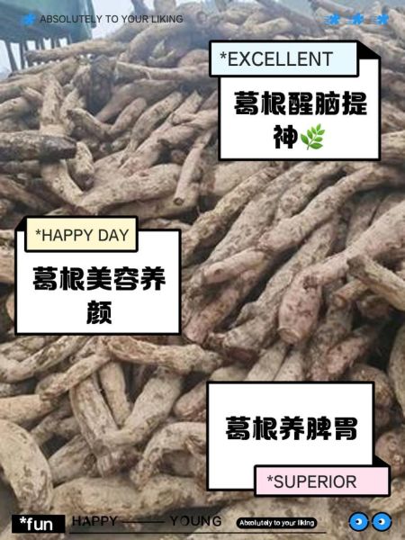 葛根泡水喝的功效与作用_葛根怎么泡水喝最好-第3张图片-山城妙识