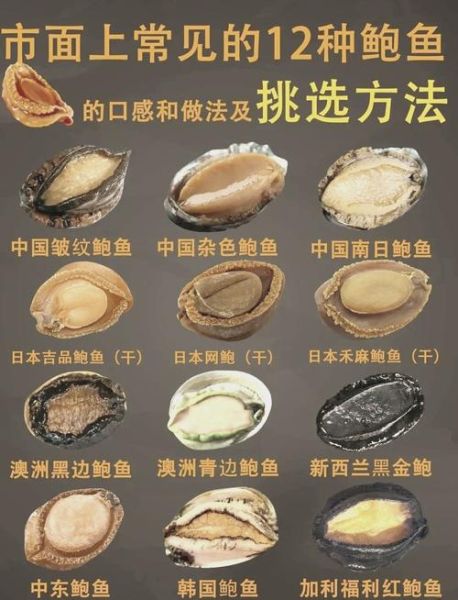 鲍鱼多少钱一斤市场价2021_2021鲍鱼价格行情-第2张图片-山城妙识