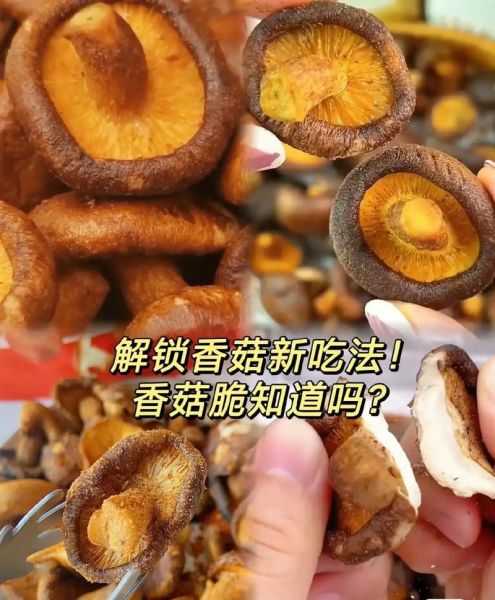 自制香菇脆怎么做_香菇脆烤箱温度时间-第2张图片-山城妙识