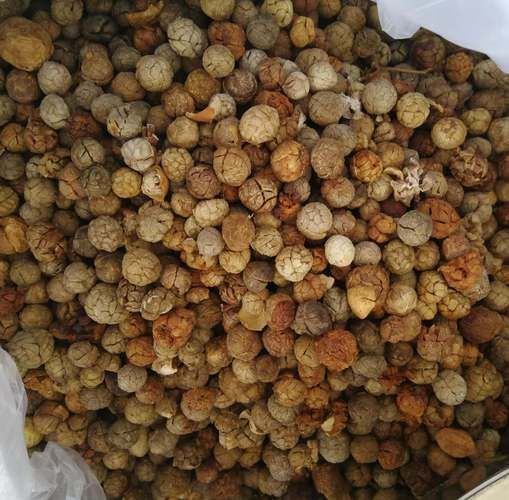 草寇香料图片_草寇香料长什么样-第3张图片-山城妙识