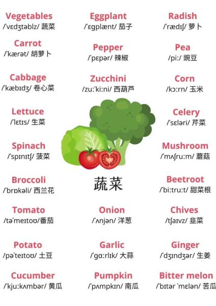 蔬菜英语单词有哪些_常见蔬菜英文名称大全-第1张图片-山城妙识
