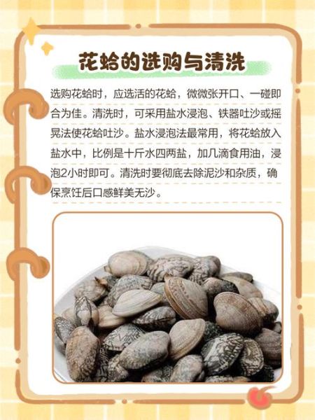 经常吃花蛤的危害_花蛤吃多了有什么坏处-第3张图片-山城妙识