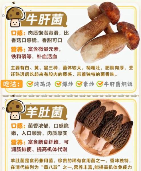食用菌怎么保存_食用菌有哪些营养价值-第3张图片-山城妙识