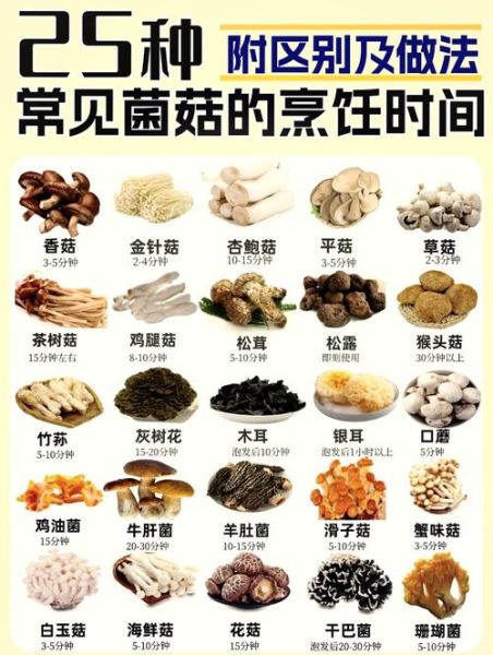 食用菌怎么保存_食用菌有哪些营养价值-第2张图片-山城妙识
