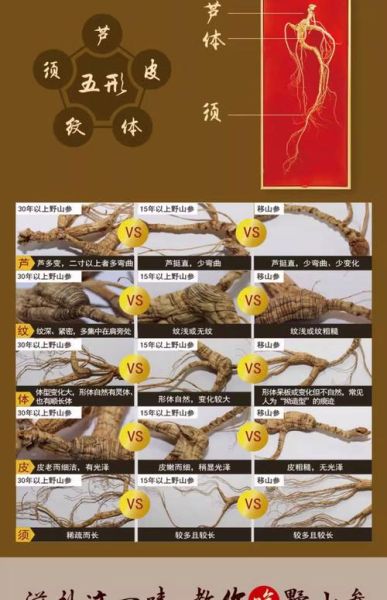 野山参价格2021多少钱一克_2021年野山参行情如何-第3张图片-山城妙识
