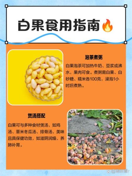 白果怎么吃_白果一天吃多少粒-第2张图片-山城妙识 白果怎么吃_白果一天吃多少粒-第2张图片-山城妙识