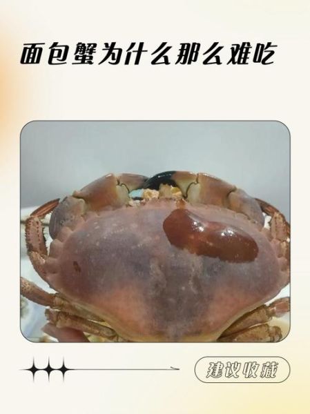 面包蟹为什么难吃_面包蟹口感差的原因-第1张图片-山城妙识 面包蟹为什么难吃_面包蟹口感差的原因-第1张图片-山城妙识