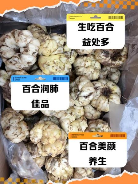 鲜百合可以生吃吗_生吃鲜百合的注意事项-第3张图片-山城妙识
