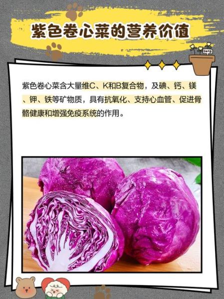 紫卷心菜怎么炒好吃_紫卷心菜凉拌做法-第1张图片-山城妙识