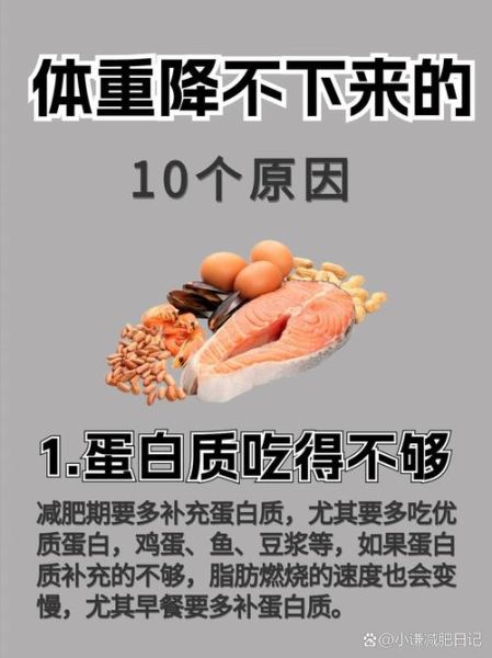 蛋白质减肥法怎么吃_蛋白质减肥会反弹吗-第1张图片-山城妙识