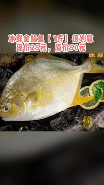 金鲳鱼多少钱一斤_金鲳鱼价格最新行情-第3张图片-山城妙识