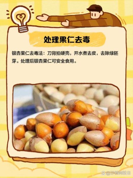 银杏仁的功效与作用_银杏仁怎么吃最健康-第3张图片-山城妙识