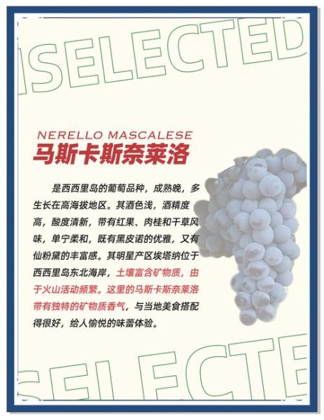 酿酒葡萄品种大全_哪些葡萄最适合酿造红酒-第3张图片-山城妙识 酿酒葡萄品种大全_哪些葡萄最适合酿造红酒-第3张图片-山城妙识