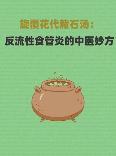 旋复花汤的功效与作用_旋复花汤的禁忌人群-第1张图片-山城妙识 旋复花汤的功效与作用_旋复花汤的禁忌人群-第1张图片-山城妙识