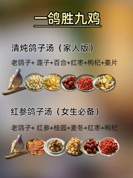 鸽子炖盅的做法大全_鸽子炖盅用什么锅最好-第2张图片-山城妙识 鸽子炖盅的做法大全_鸽子炖盅用什么锅最好-第2张图片-山城妙识